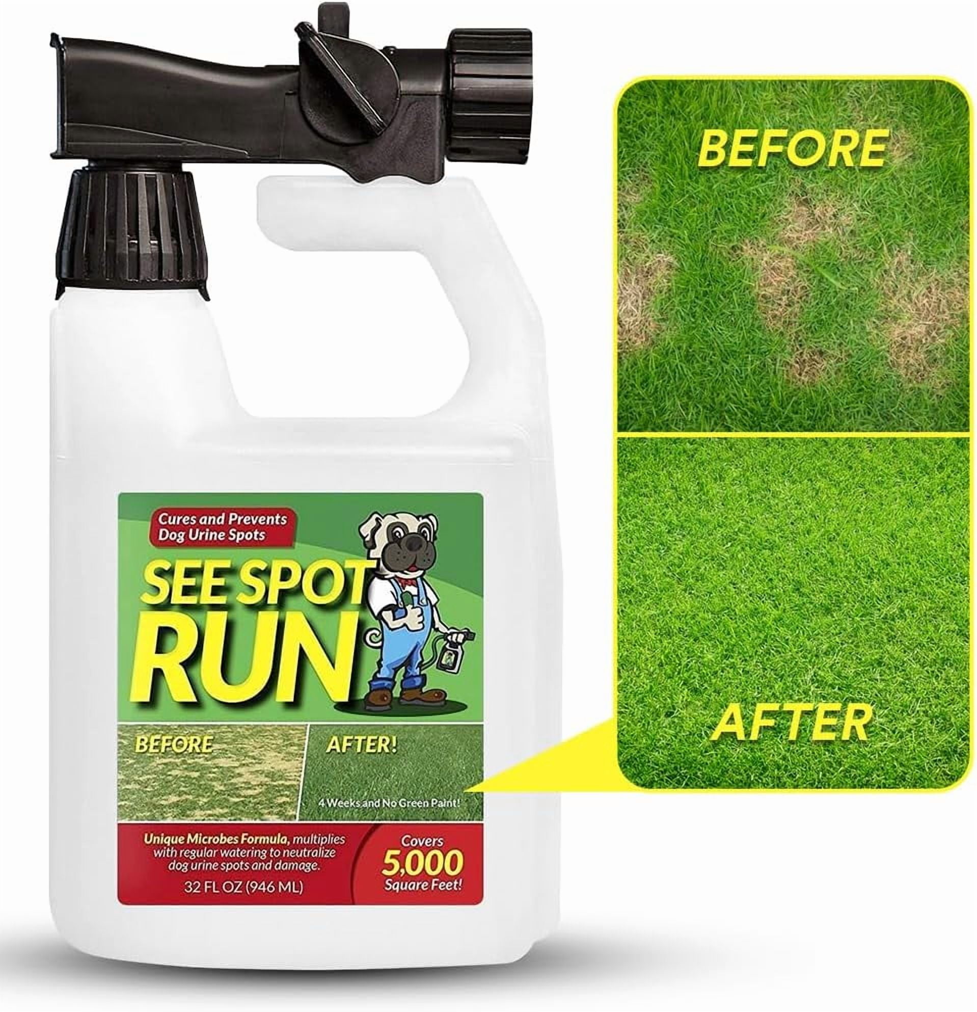 Eliminate Yellow Spots On Your Lawn Caused by Dog Urine | All-Natural ...