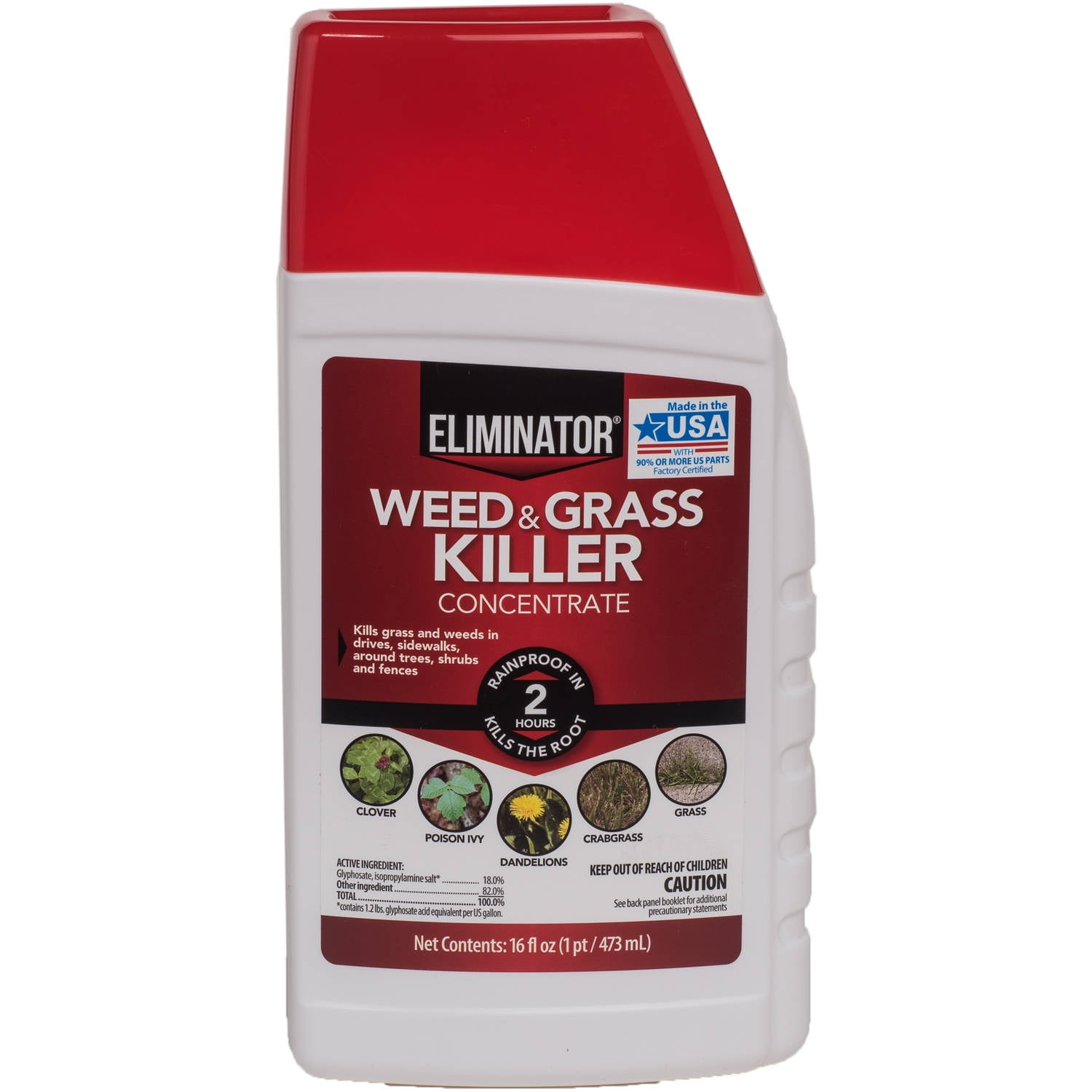 Eliminator Weed & Grass Killer Concentrate Herbicide, 16 fl oz ...
