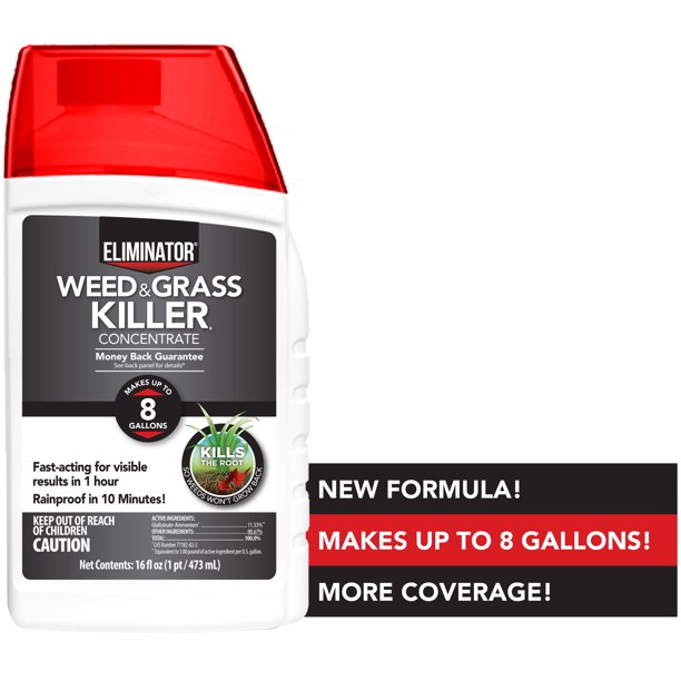 Eliminator Weed & Grass Killer Concentrate Herbicide, 16 oz., Kills ...