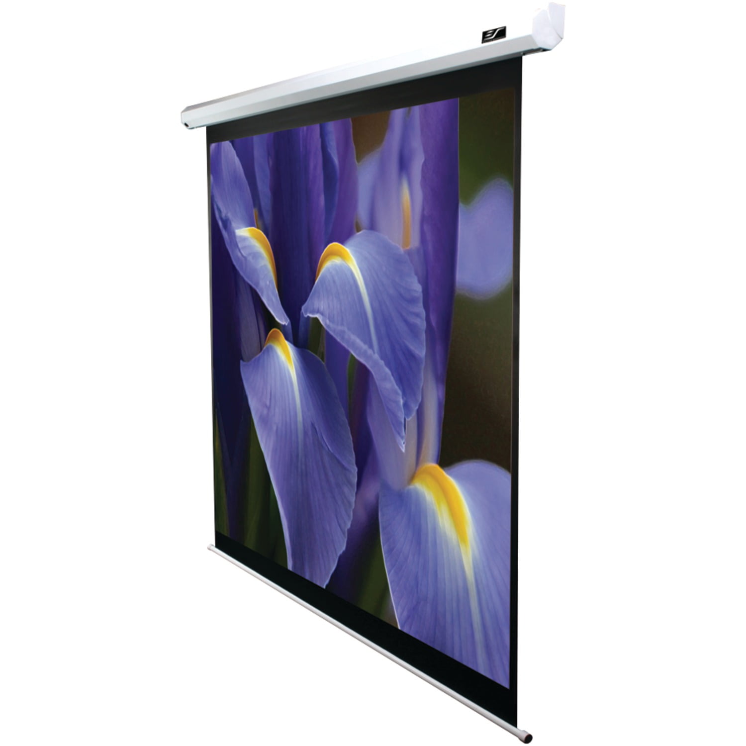 Elite Screens Electric120v Spectrum Series Electric Screen (120"; 72"h ...