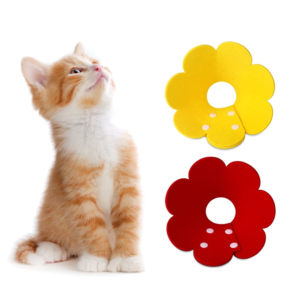 Elizabeth Collar for Cats and Small Dogs | Soft Collar with Button ...