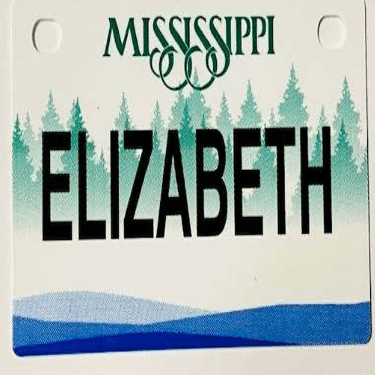 Elizabeth Mini Bike Plate Add On Accessory - Walmart.com
