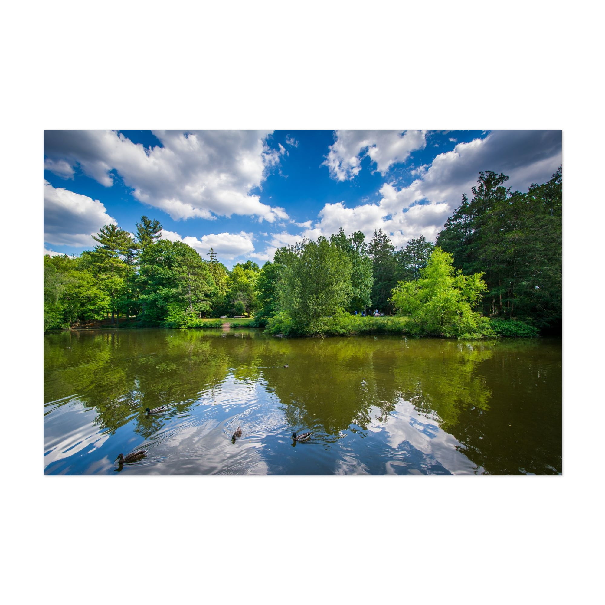 Elizabeth Park - Hartford Connecticut Photography Nature Landscape ...