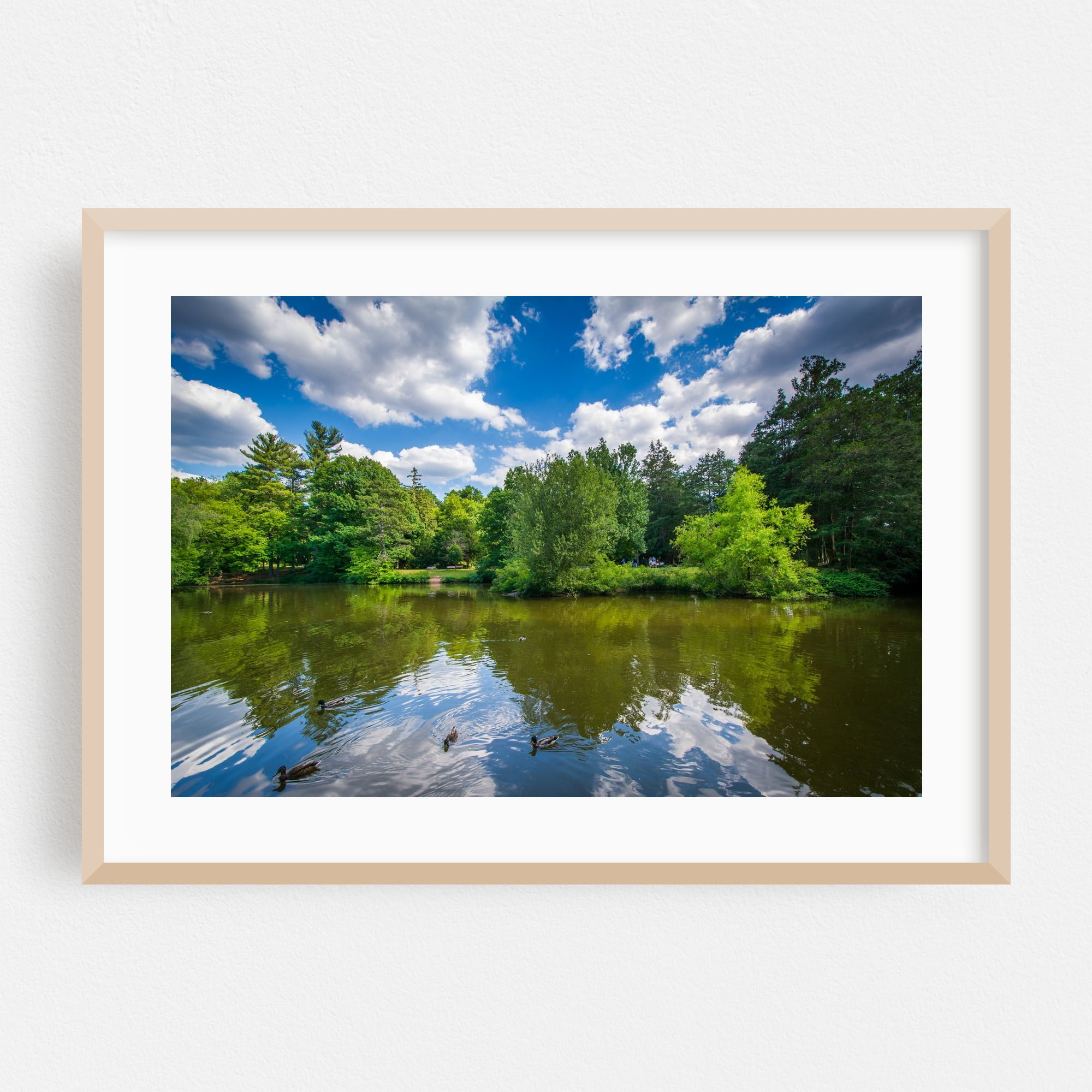 Elizabeth Park - Hartford Connecticut Photography Oak Framed Wall Art ...