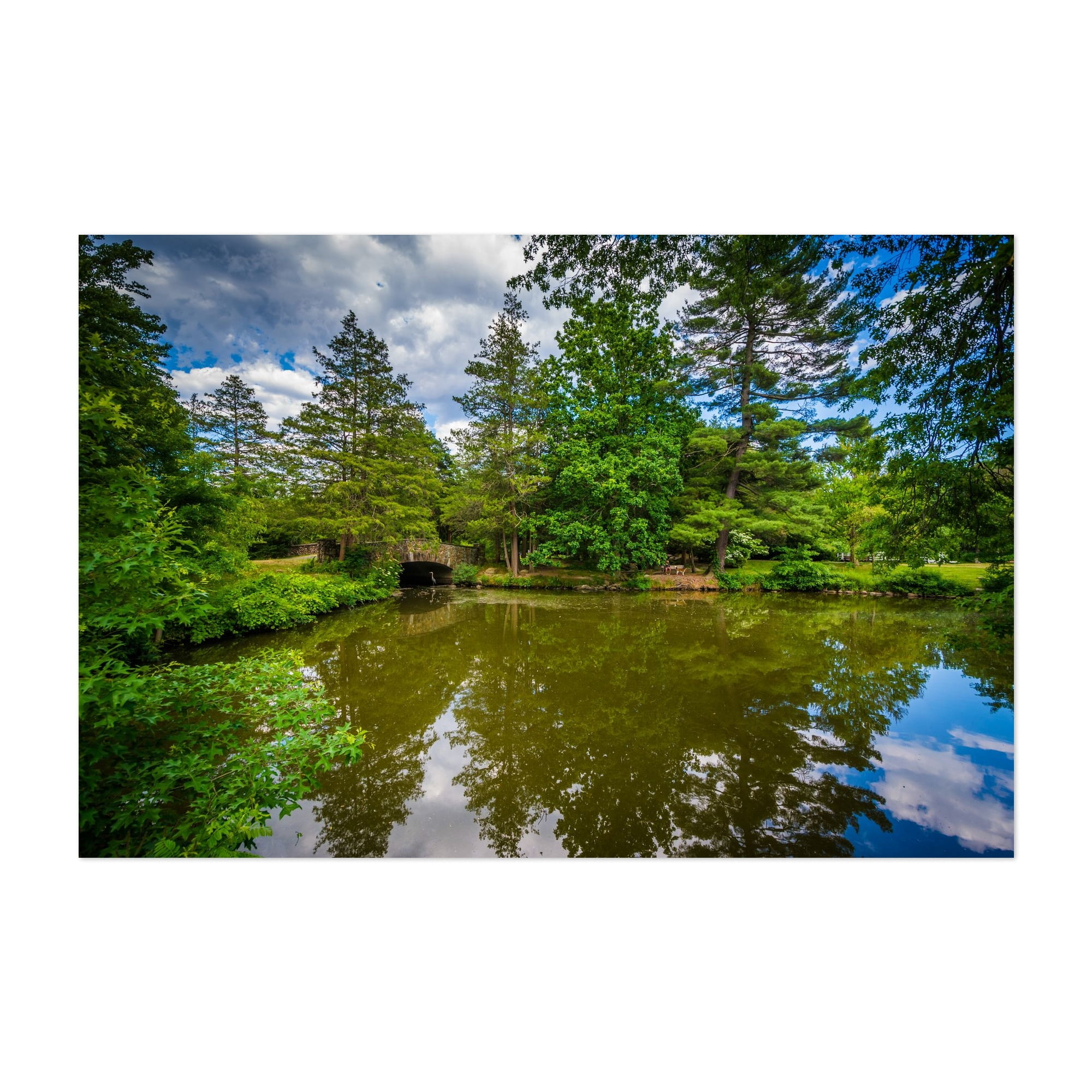 Elizabeth Park No.2 - Hartford Connecticut Photography Nature Scenic ...