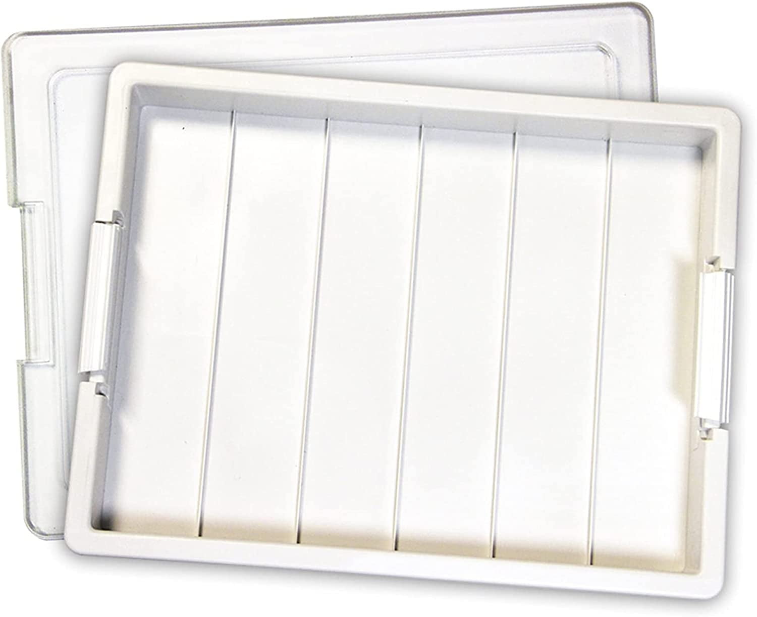 Elizabeth Ward Plastic Organizer Tray with Clear Snap Shut Lid for ...