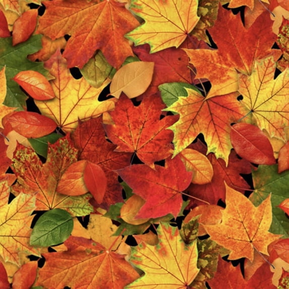 Elizabeth's Studio Landscape Medley Maple Leaves Multi 100% Cotton ...