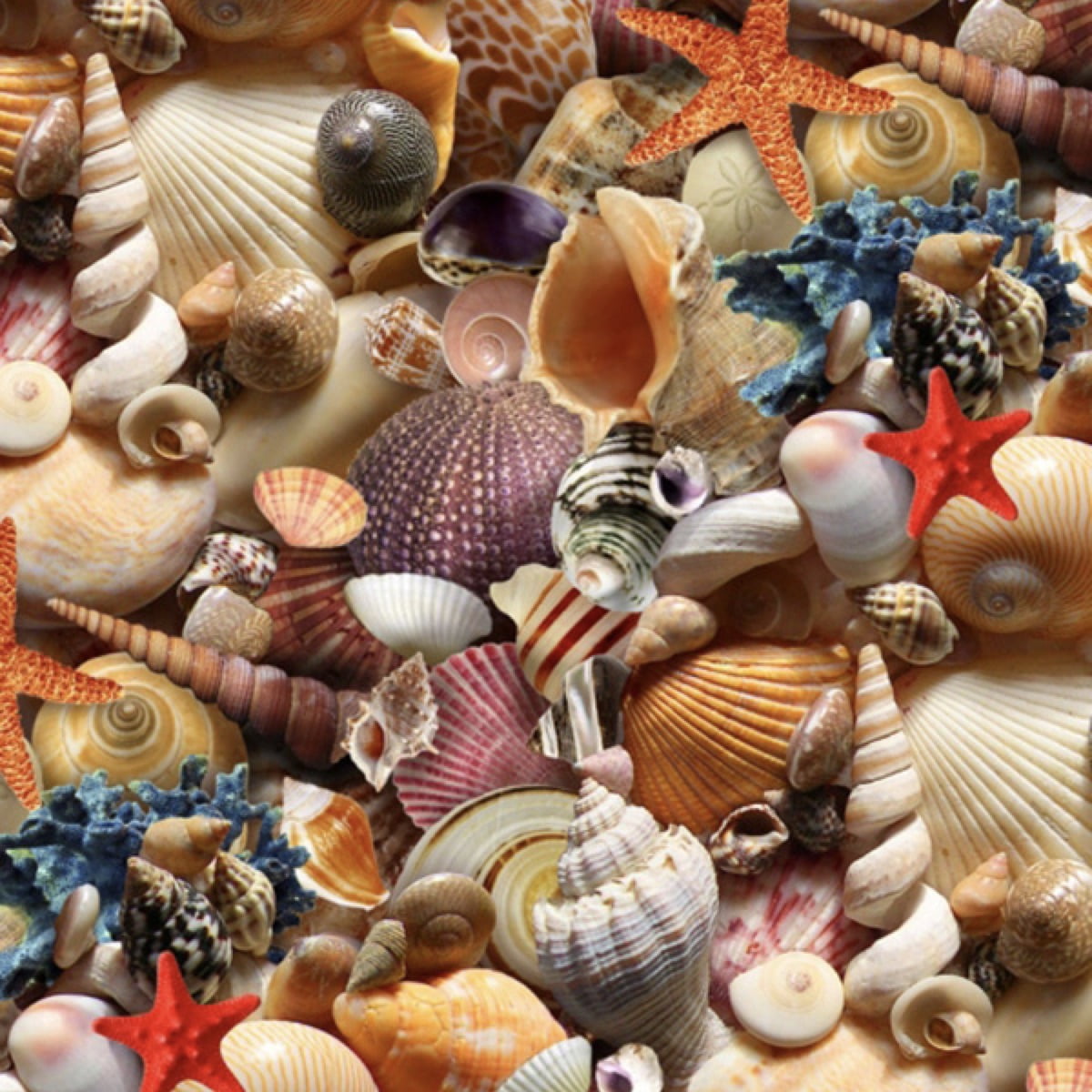 Elizabeth's Studio Landscape Medley Seashells Collage Multi 100% Cotton ...