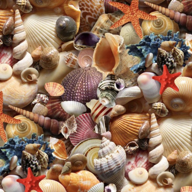 Elizabeth's Studio Landscape Medley Seashells Collage Multi 100% Cotton Fabric sold by the yard ...