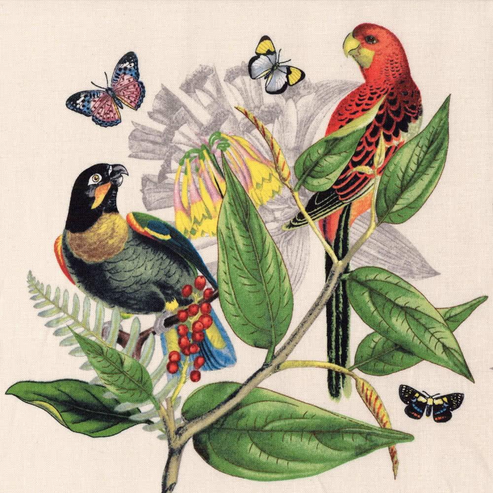 Elizabeth's Studio Secret Escape Black Panel 100% Cotton Fabric sold by ...