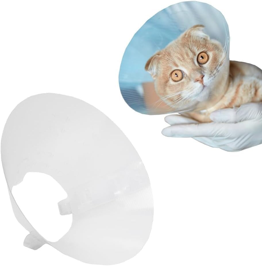 Elizabethan Style Pet Collar, Size 10, 10 Pack, Plastic Recovery Cone ...