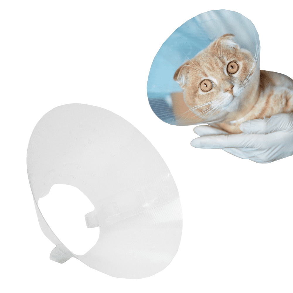 Elizabethan Style Pet Collar, Size 10, Plastic Recovery Cone for Small ...