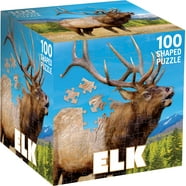 MasterPieces 36 Piece Jigsaw Puzzle with Elmo & Cookie Monster - Sesame ...