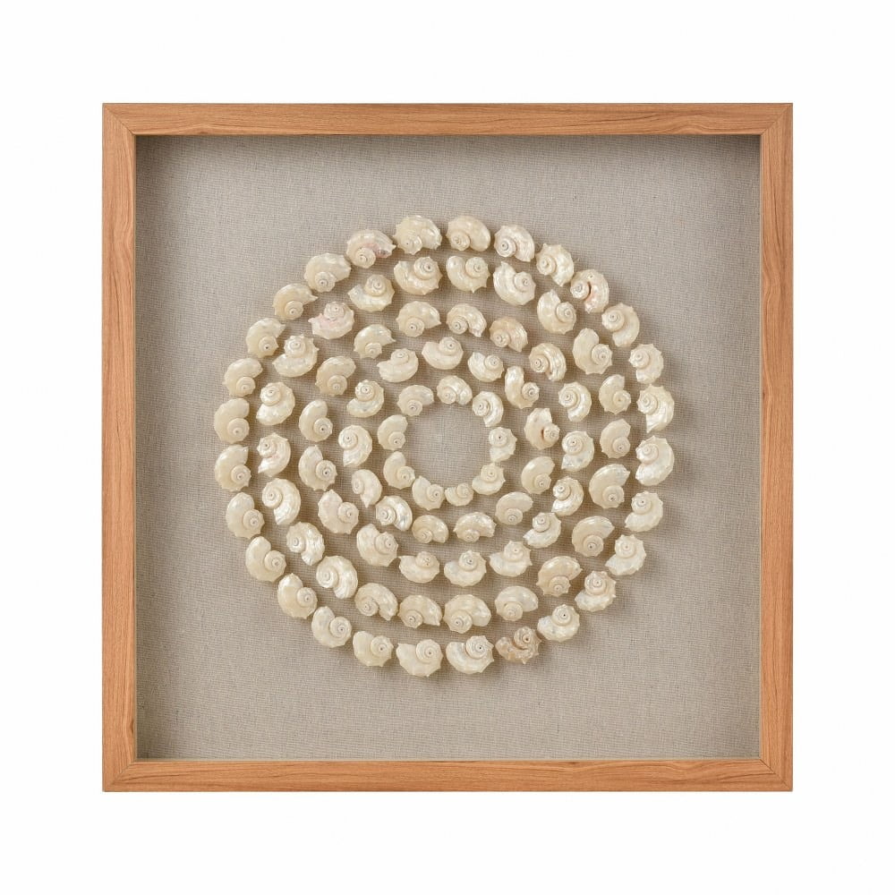 Elk Home - Concentric Shell - Dimensional Wall Art In Coastal Style-23. ...