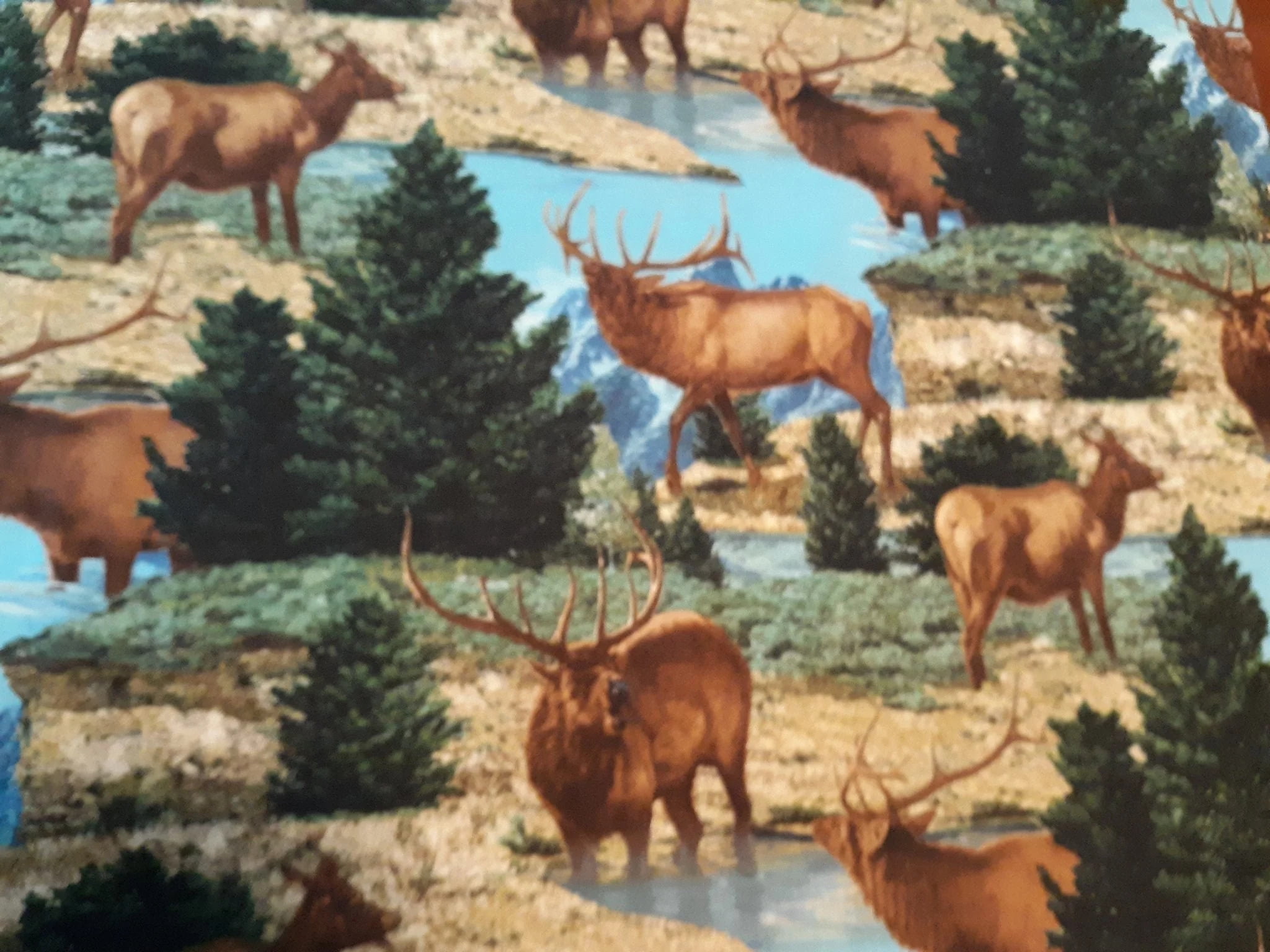 Elk Scenic Bulls Cotton Fabric - Walmart.com