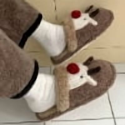 Elk Slippers for Women & Men | Fuzzy Anti-Skid House slipper, Unique ...