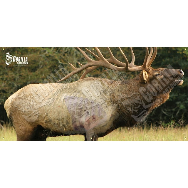 Elk Target - Full Size Elk Archery & Rifle Target (Life Size) - Walmart.com