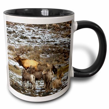 Pack Of 2 Rustic Western Emperor Giant Stag Elk Moose Deer Coffee Mugs ...