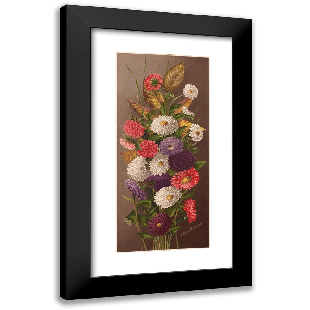 Ellen Robbins 8x14 Black Modern Framed Museum Art Print Titled - Asters ...
