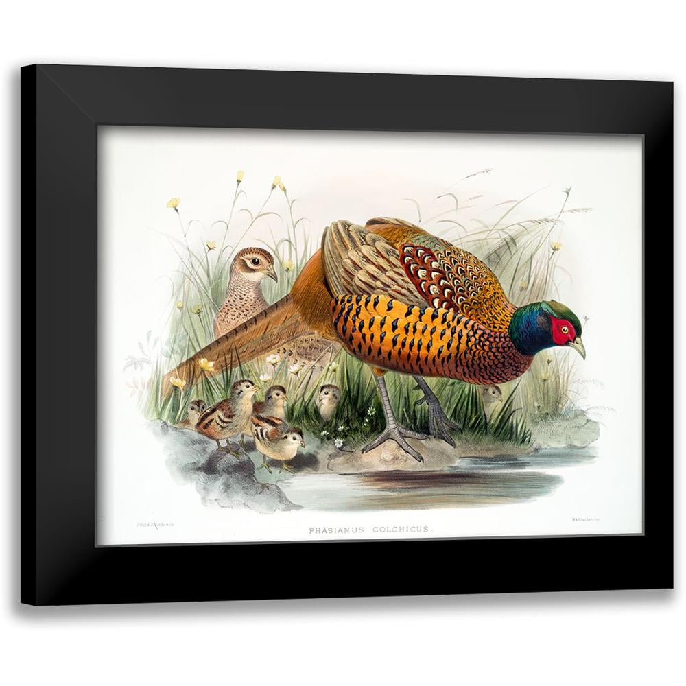 Elliot, David 14x12 Black Modern Framed Museum Art Print Titled ...