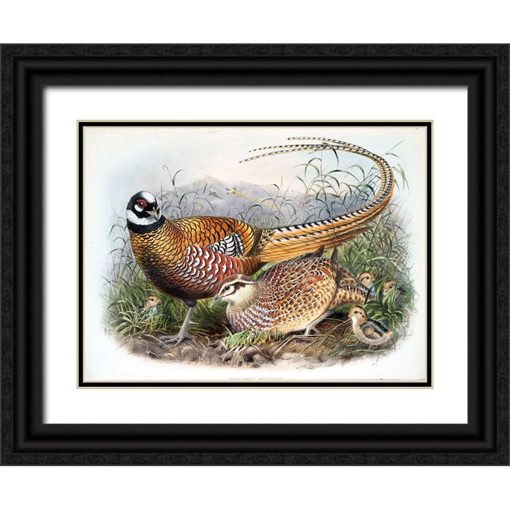 Elliot, David 24x19 Black Ornate Wood Framed with Double Matting Museum ...