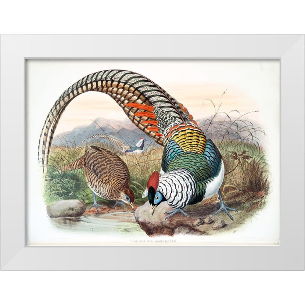 Elliot, David 24x19 White Modern Wood Framed Museum Art Print Titled ...
