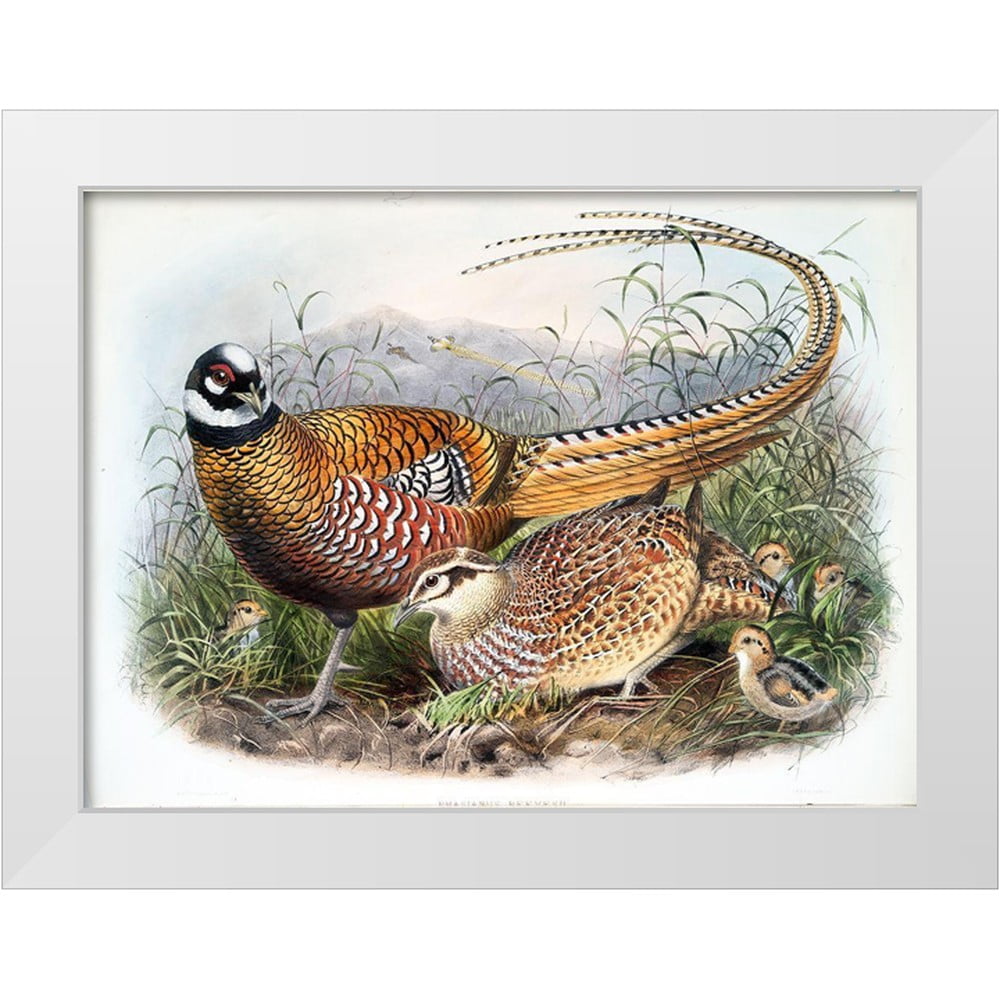 Elliot, David 32x25 White Modern Wood Framed Museum Art Print Titled ...