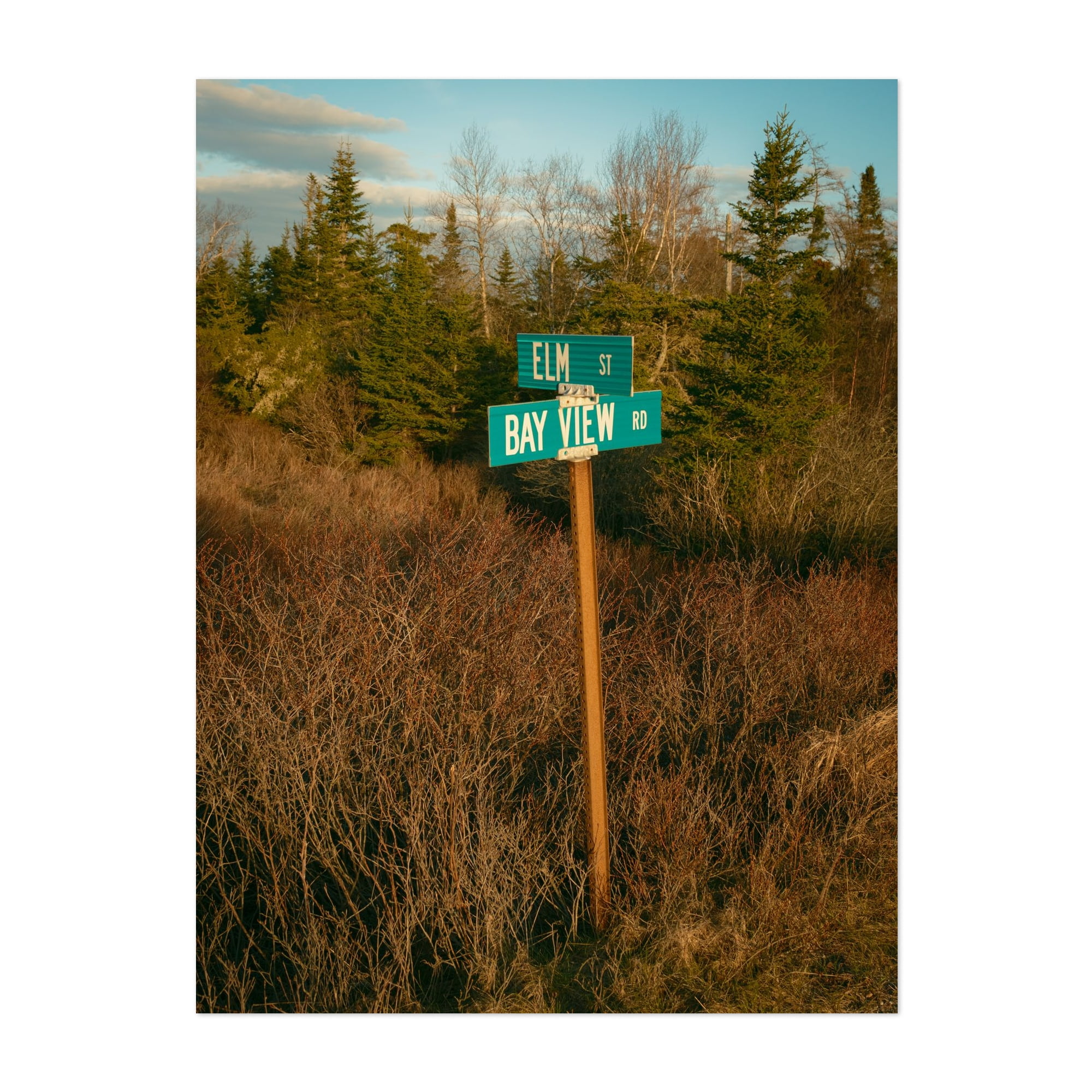 Elm & Bay View, Beals Island - Beals Maine Photography Rural Nature ...