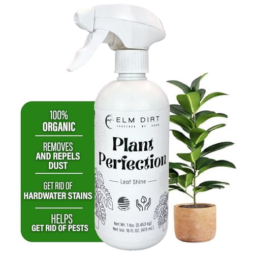 Elm Dirt Plant Perfection Spray for All Plants - Leaf Shine for Indoor ...