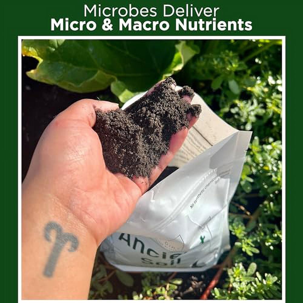 Elm Dirt Premium Ancient Soil for All Plants - Organic Plant Soil for Outdoor Plants & Indoor ...