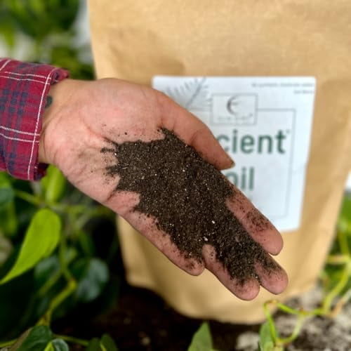 Elm Dirt Premium Ancient Soil for All Plants - Organic Plant Soil for ...