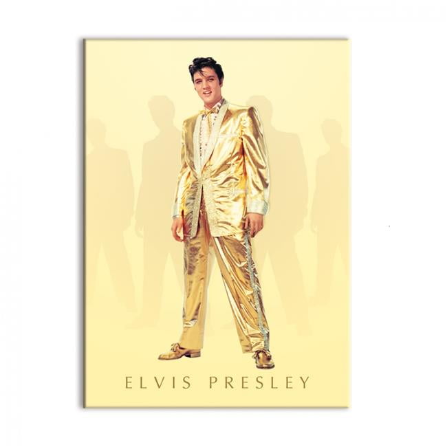 Elvis 829429 Presley Suit Character Magnet, Gold - Walmart.com