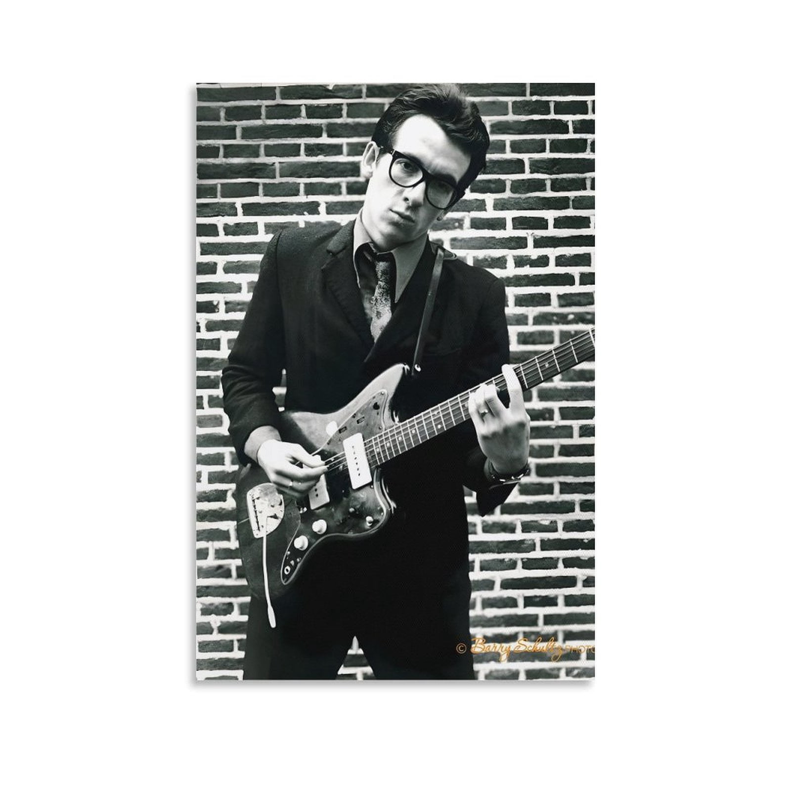 Elvis Costello Singer Retro Poster Print Photo Art Painting Canvas ...
