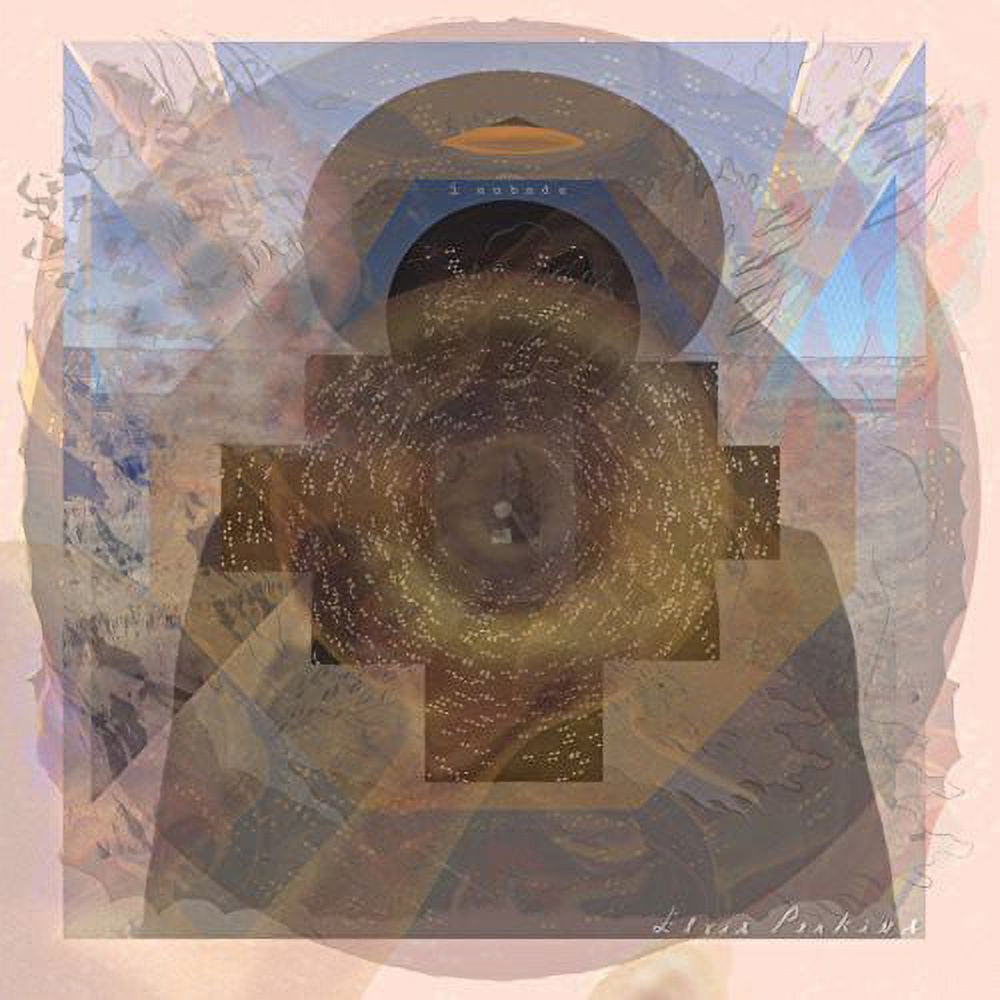 Elvis Perkins - I Aubade - Rock - Vinyl - Walmart.com