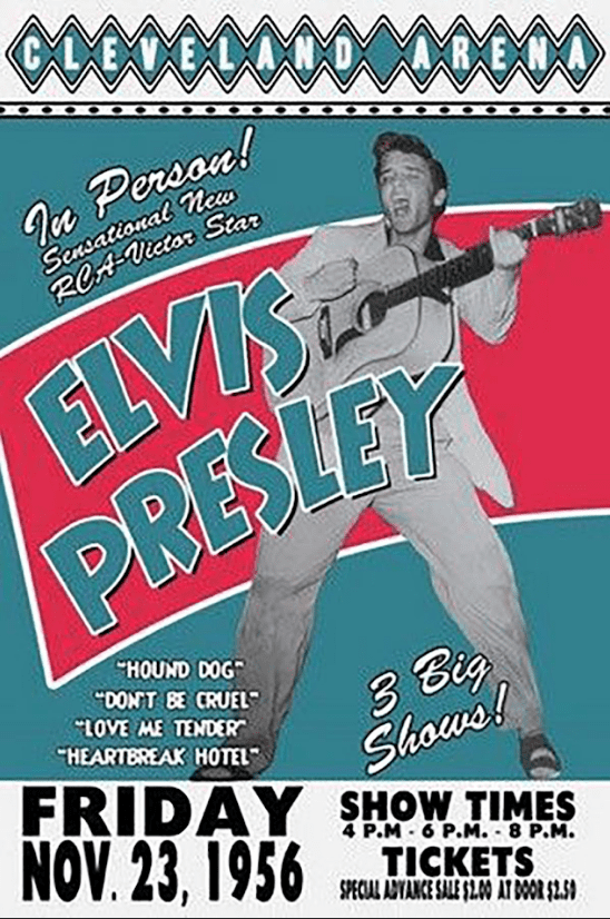 Elvis Presley Poster 24x36 Rock 'n' Roll King Music Icon Memorabilia ...