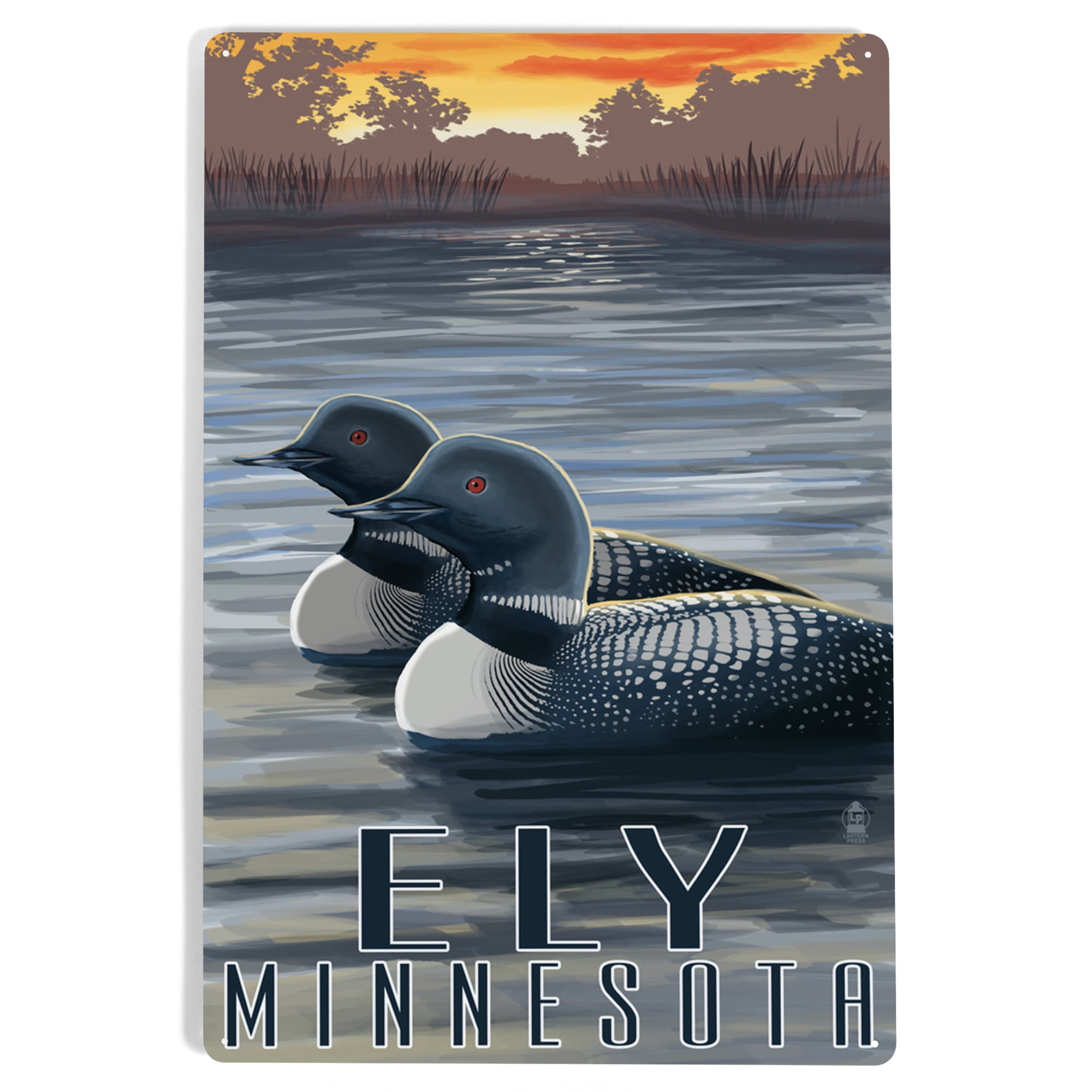 Ely, Minnesota, Loon on Lake (12x18 Aluminum Art, Indoor Outdoor Metal ...