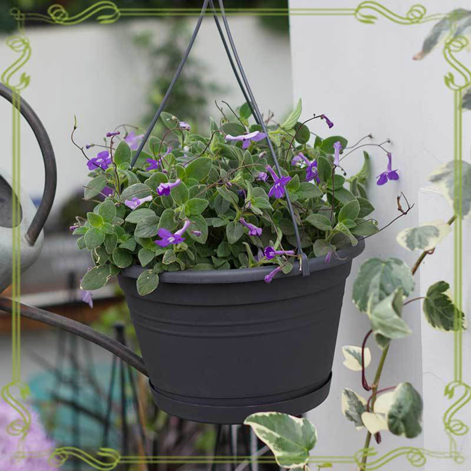 Elysia Global Gallon Basin Holon 255 Global Planter Basin Hanging Basin ...