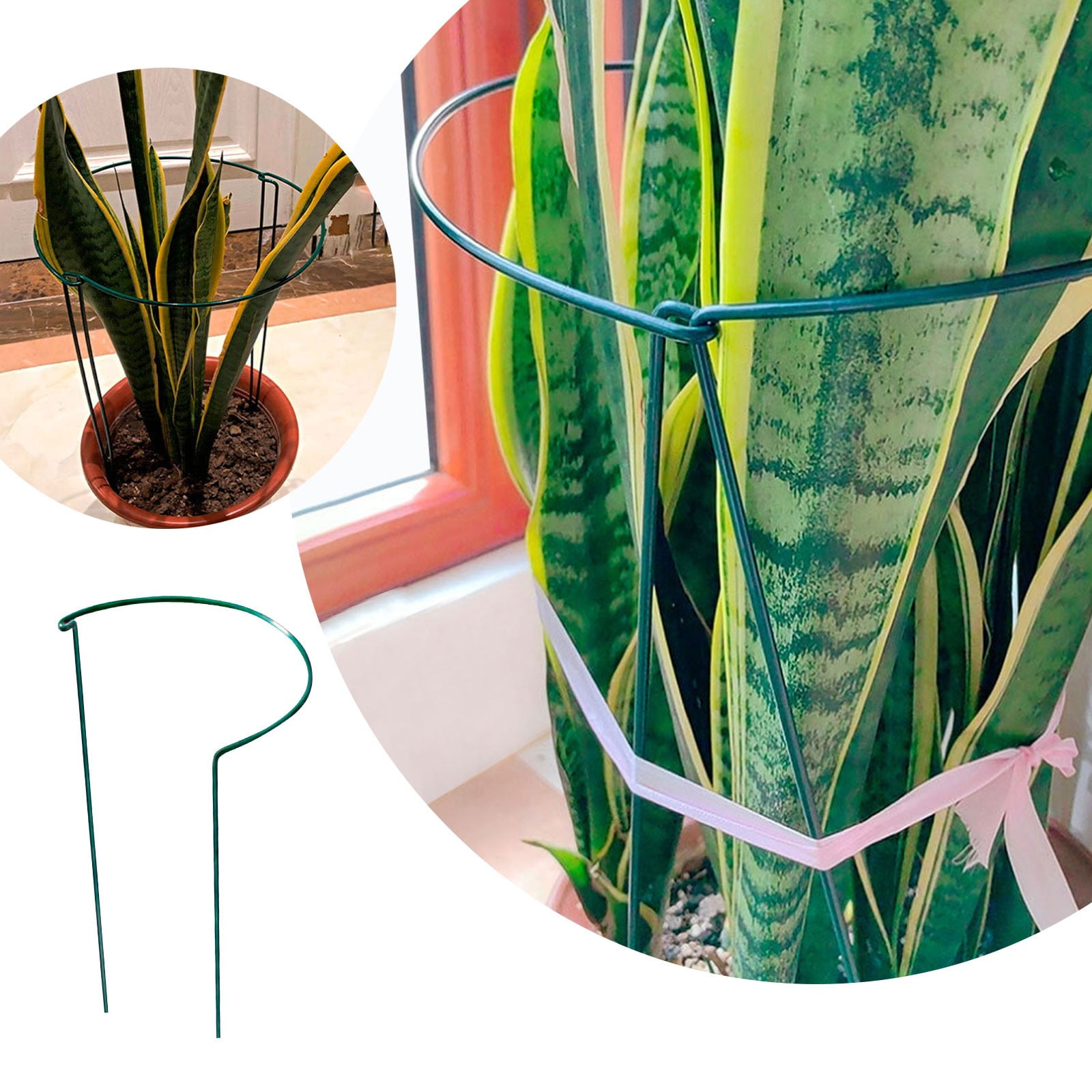 Elysia Support Semi Circle Garden Support Ring Cage A Semi Circle ...