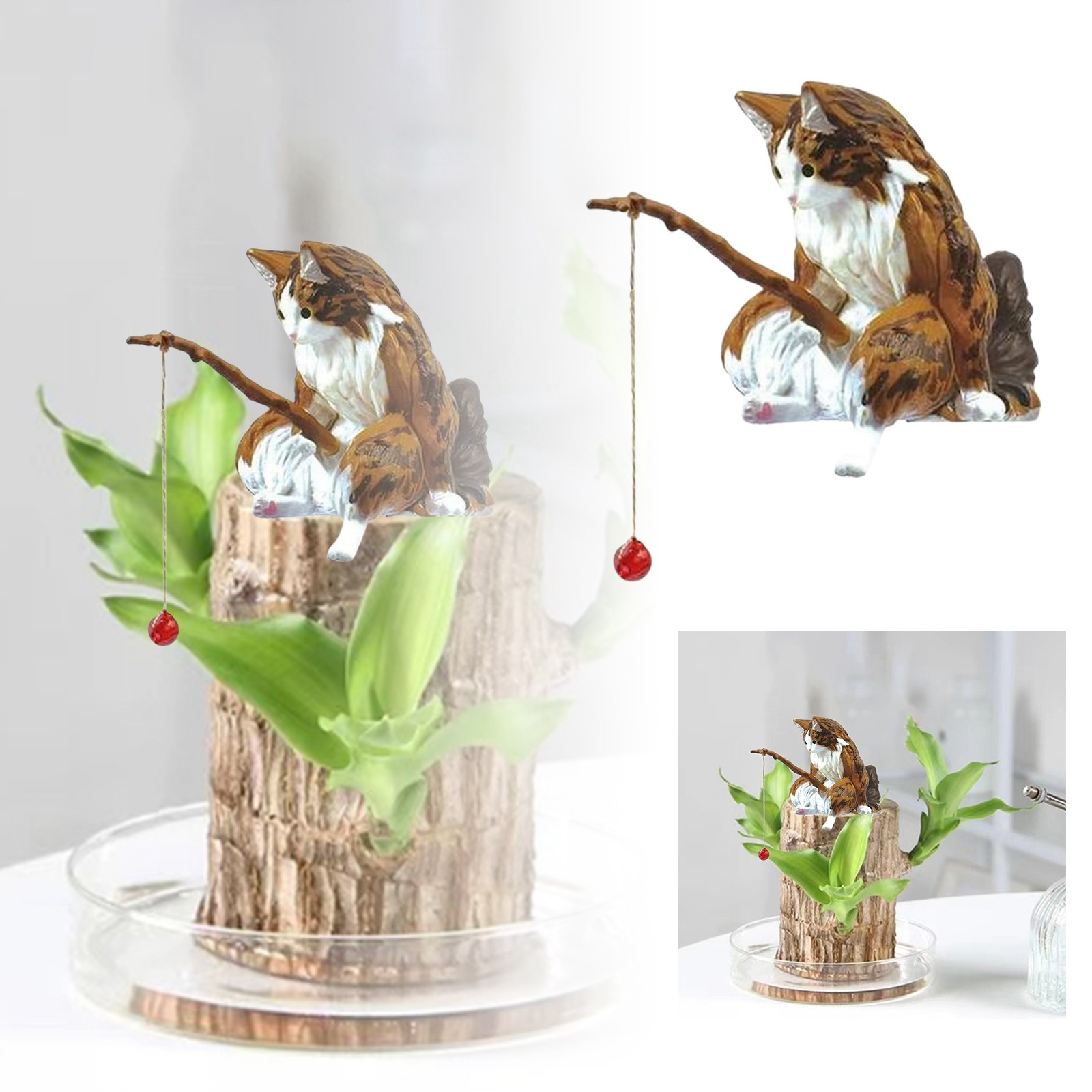 Elysian Brazilian Wood Easy Grow Wood Easy Care Brazilian Wood ...