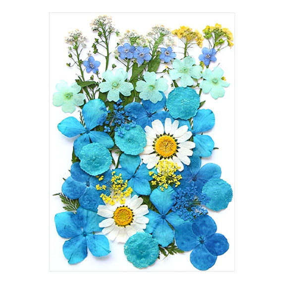 Embellished Dried Natural Flowers Embossing Set for Resin, Candle ...