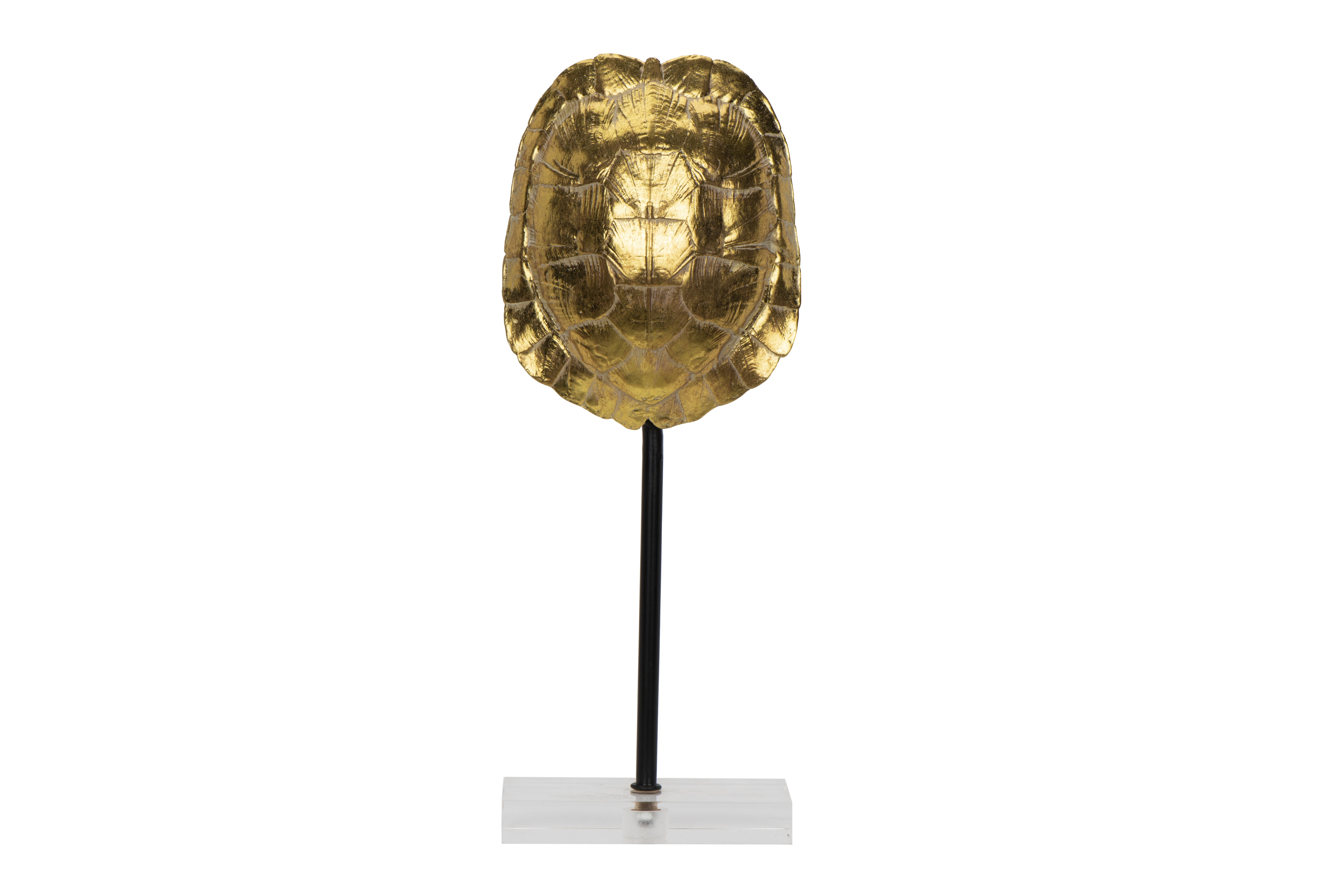 Ember Interiors Large Gold Resin Turtle Shell on Pole & Acrylic Base ...