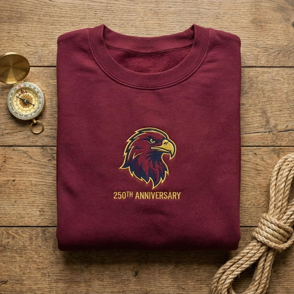 Embroidered USA 250th Anniversary Sweatshirt, Patriotic Eagle Hoodie ...