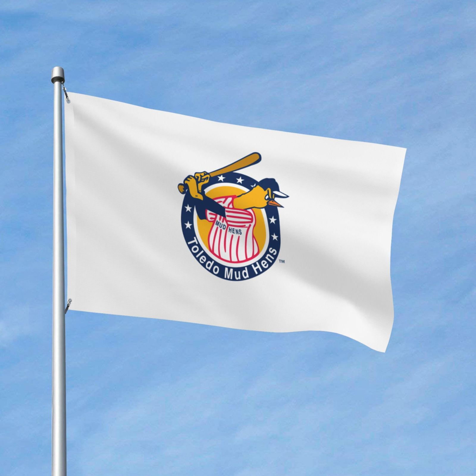 Embry-Riddle Aeronautical University Logo Flag 3x5 Ft Holiday Banner ...