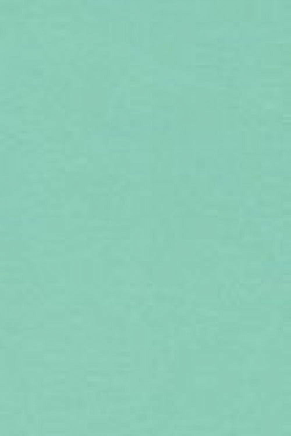 Emerald Green - Color Card Stock, 20lb 50 Sheets (11 x 17) - Walmart.com