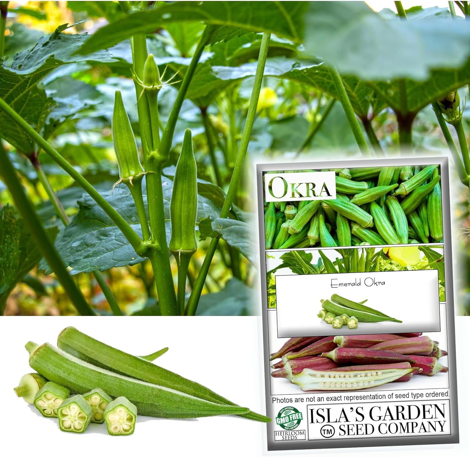 Emerald Okra Seeds for Planting, 50+ Heirloom Seeds Per Packet Non GMO ...