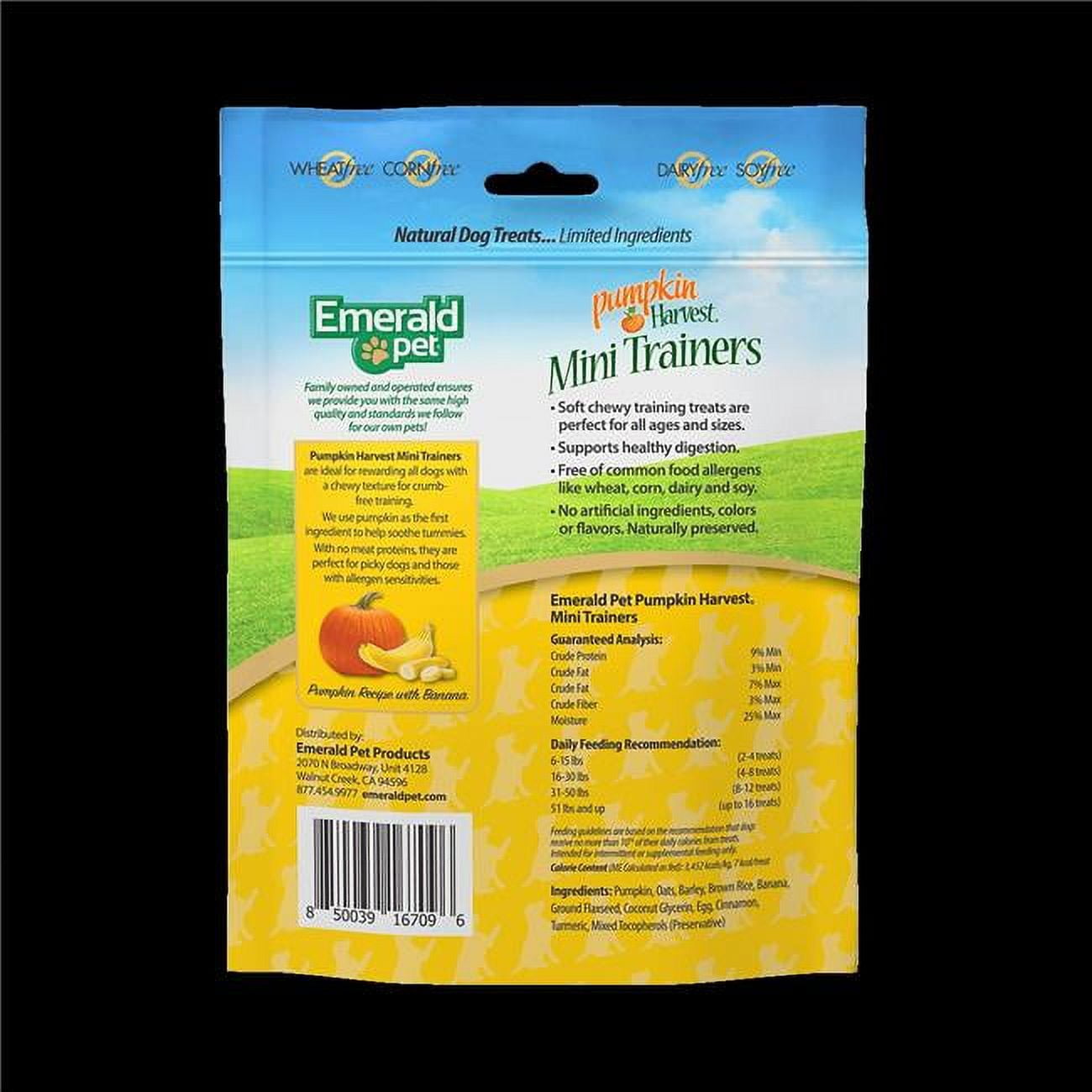 Emerald Pet Pumpkin Harvest Mini Trainers with Banana Chewy Dog Treats ...