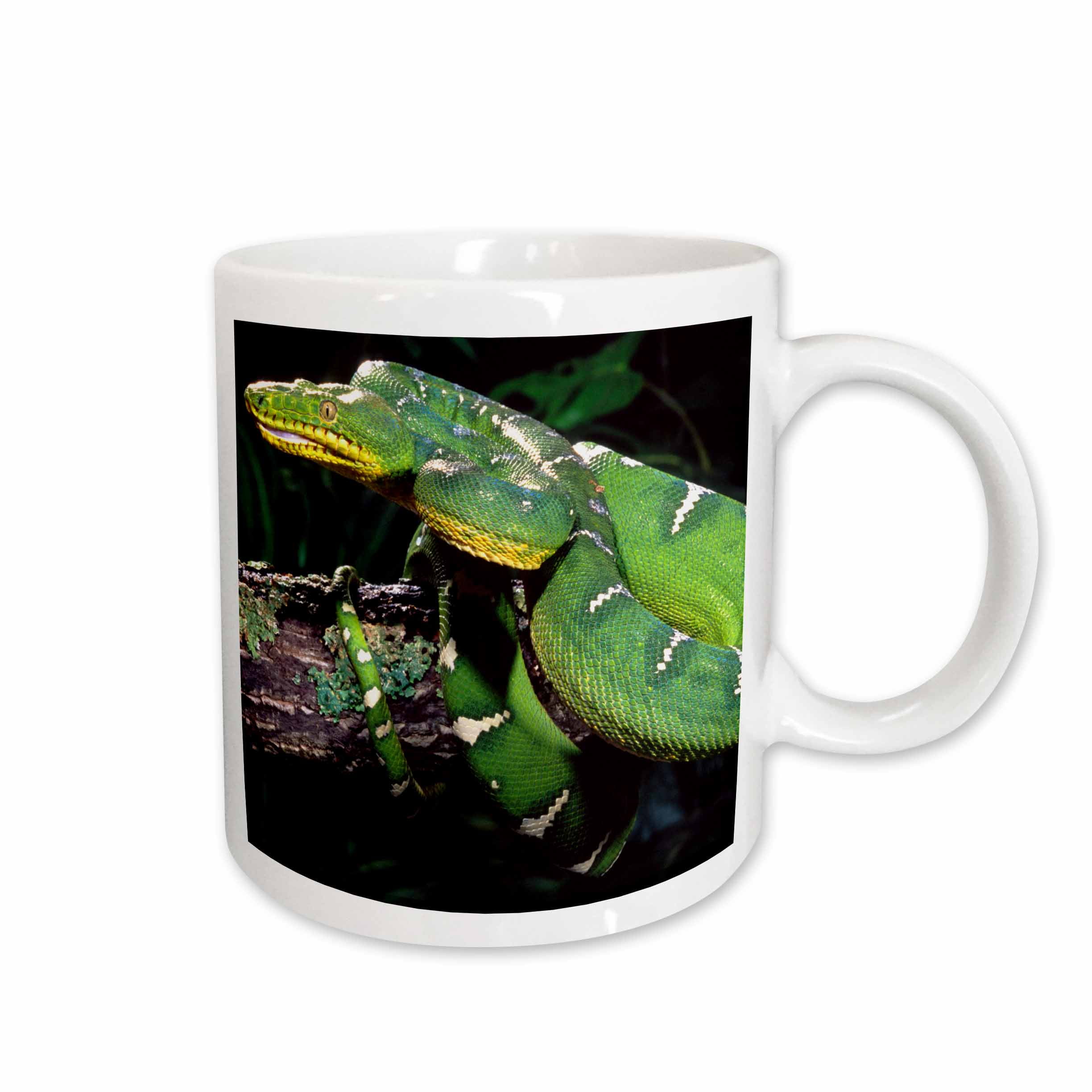 3drose, Emerald Tree Boa Snake - Na02 Dno0480 - David Northcott, 11oz ...