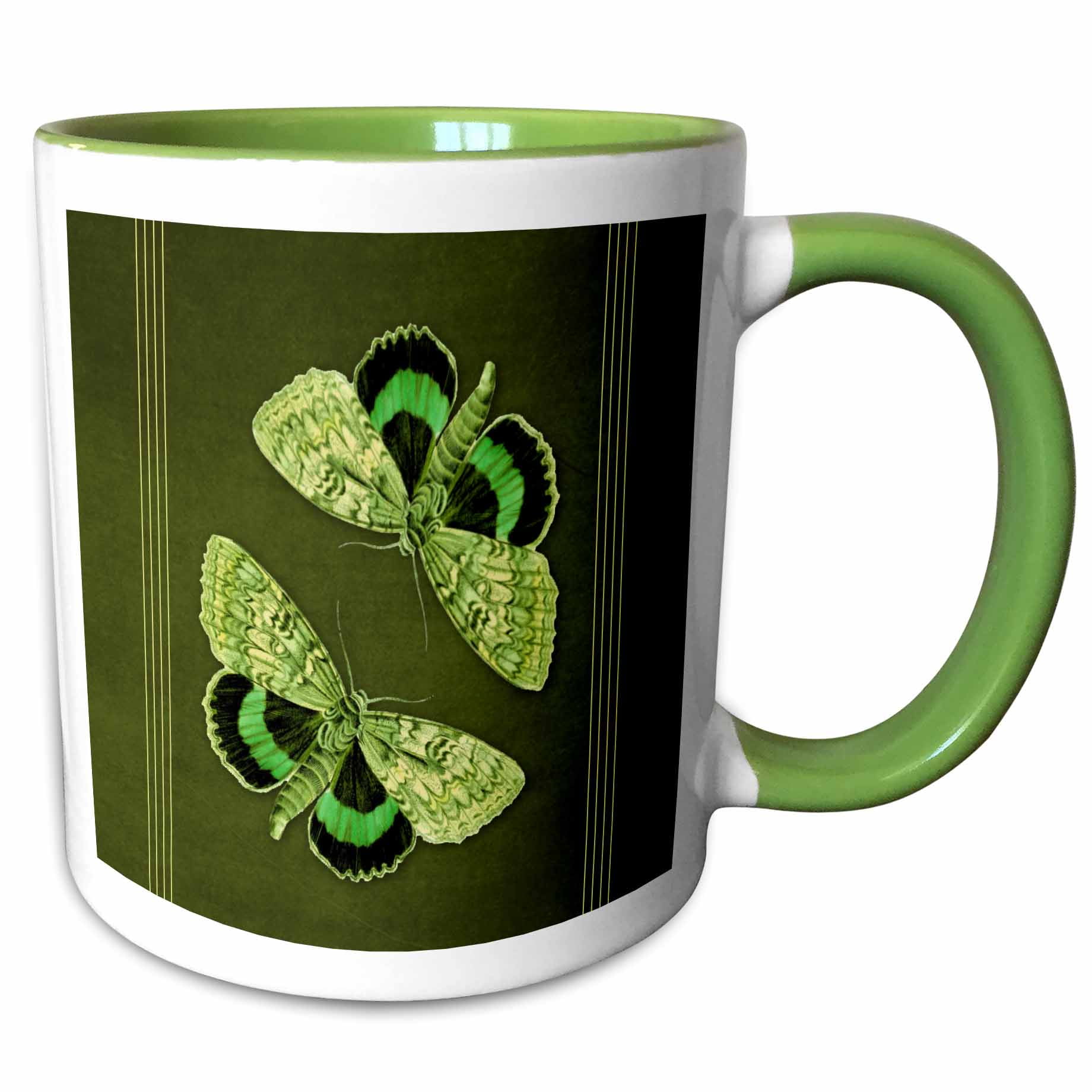 Emerald and lime green butterflies on a textured moss background with lime green line accents ...