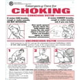 Emergency Care for Choking Poster State of Illinois Sign (White, Rust ...