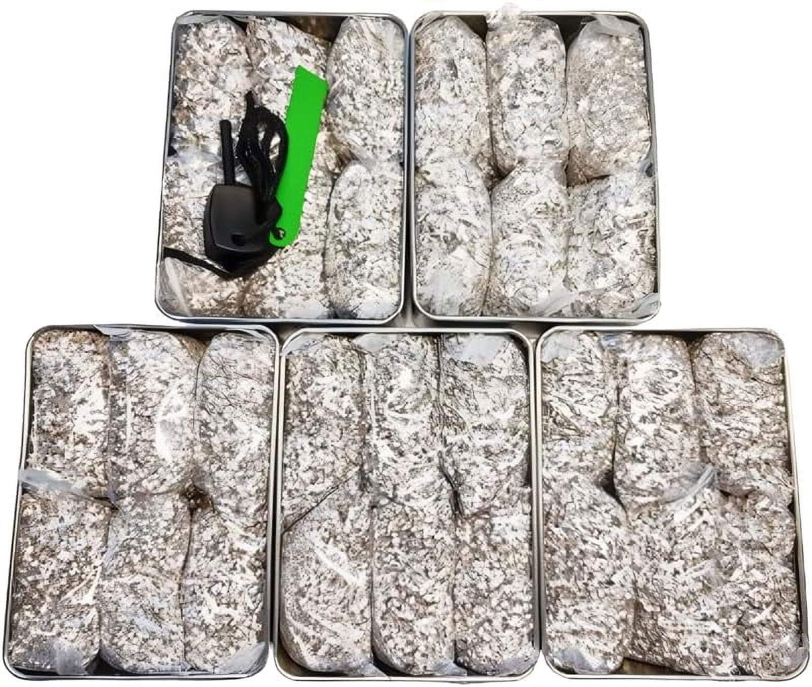 Emergency Fire Starter Kit Magnesium 6 Bags for Camping Hiking ...
